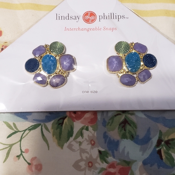 lindsay phillips | Shoes | Nwot Lindsay Phillips Intrchngbl Shoe Snaps ...